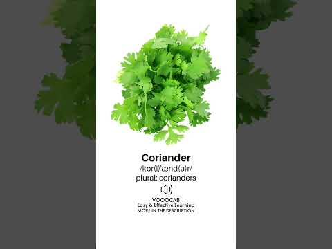 Coriander - Pronunciation, English Phonetic Transcription, Plural Form / Herbs Vocabulary Playlist