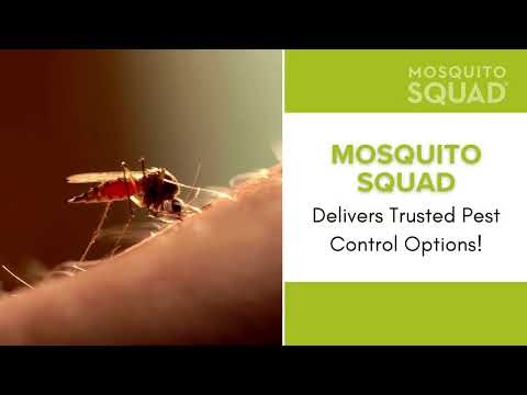 Cumming GA Mosquito Control | Effective Pest Solutions | Mosquito Squad of Greater Atlanta