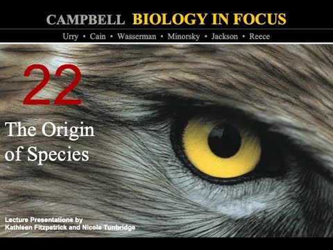 Biology in Focus Chapter 22: The Origin of Species