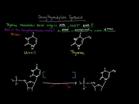 De Novo Nucleotide Synthesis - Biochemistry - Medbullets Step 1
