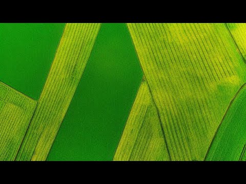 Cultivating the Future - See How Cargill Can Achieve it through Agriculture
