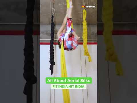 What Is Ariel Silks? | Explained In Hindi #Shorts