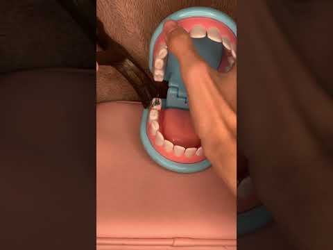 Dentist ASMR #asmr #asmrvideos #satisfying