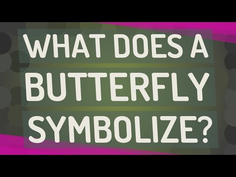 What does a butterfly symbolize?
