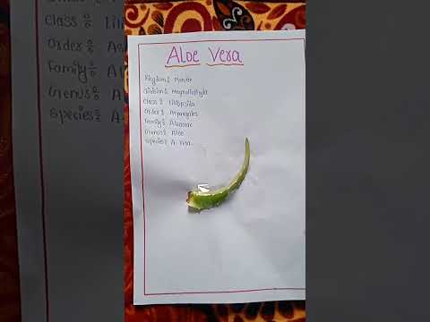 herbarium file project class 11,12π