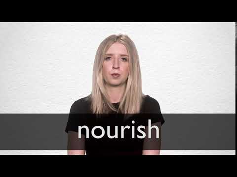 How to pronounce NOURISH in British English