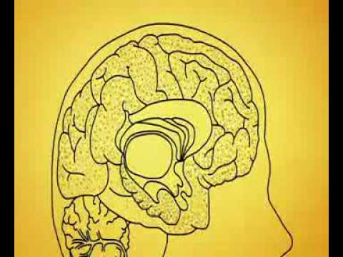 A Quick Look at Alzheimer's: Four Pocket Films - Film One
