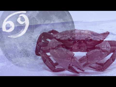 Zodiac Signs: Cancer "The Nurturer" Traits & Meaning