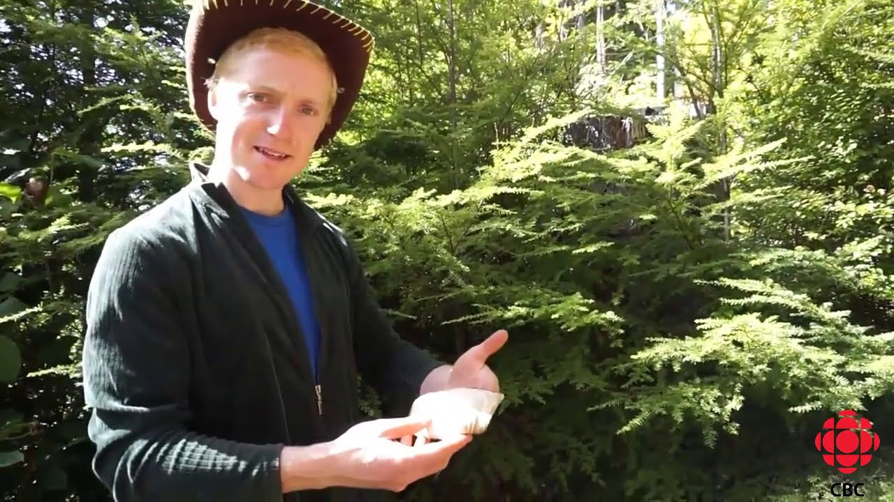 The Geoduck - An Educational Documentary