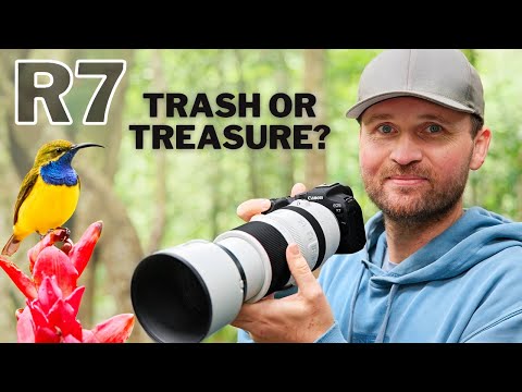 Canon EOS R7: Full field check (5137C002)