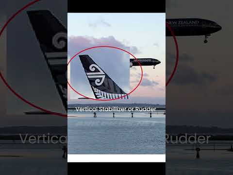 Anatomy of Flight: Exploring the Parts of an Aircraft