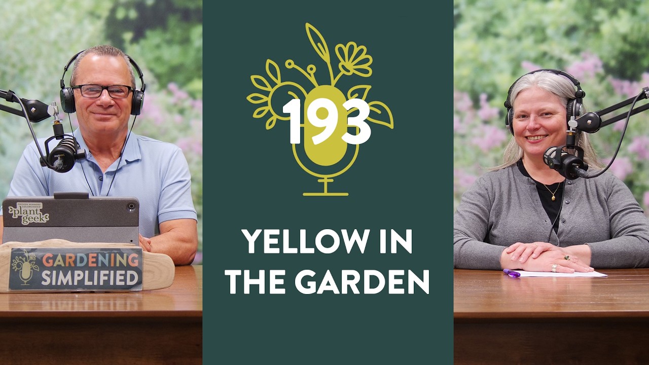 Yellow in the Garden | Flowers & Foliage | 193