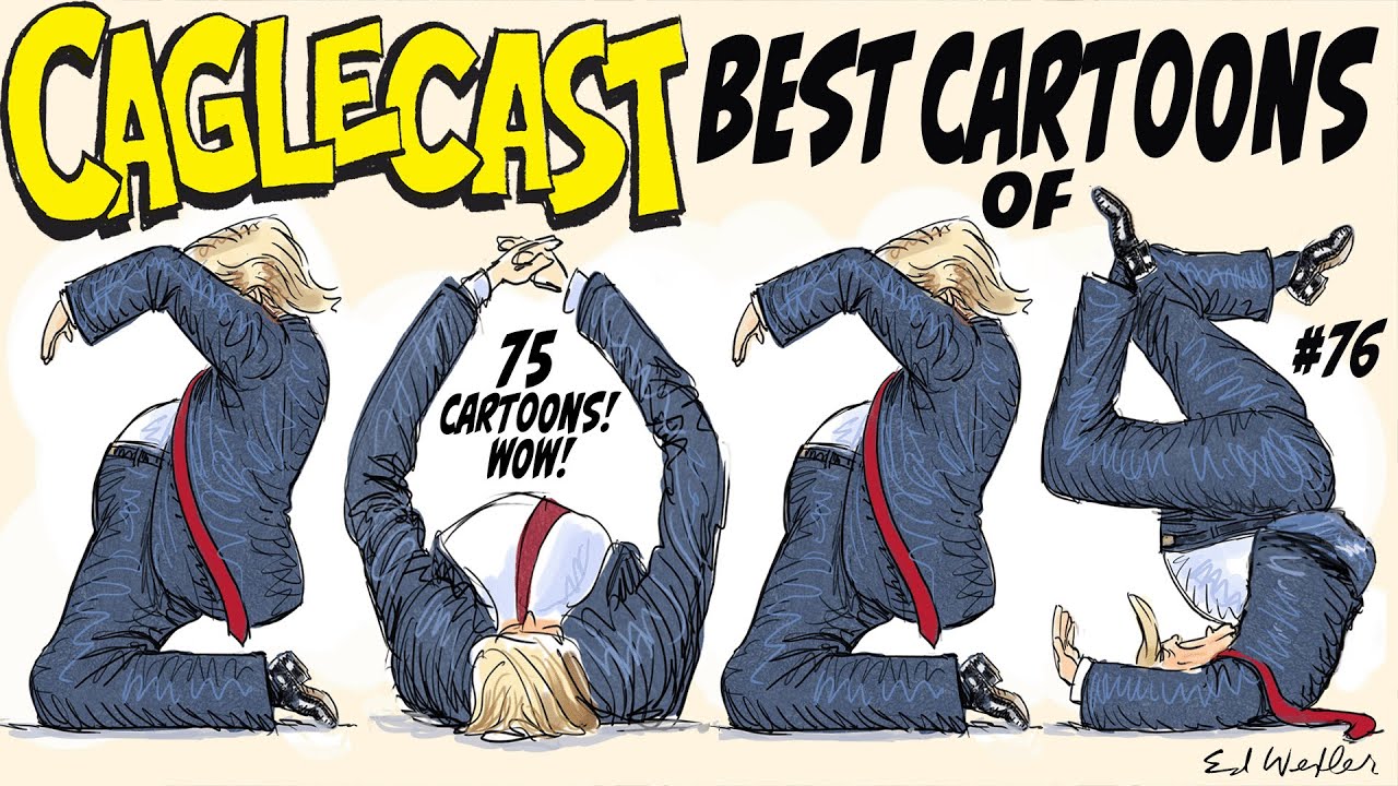 The Best Political Cartoons of the Year 2025