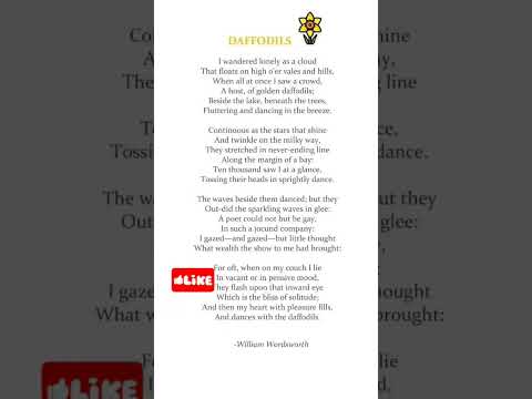 Daffodils