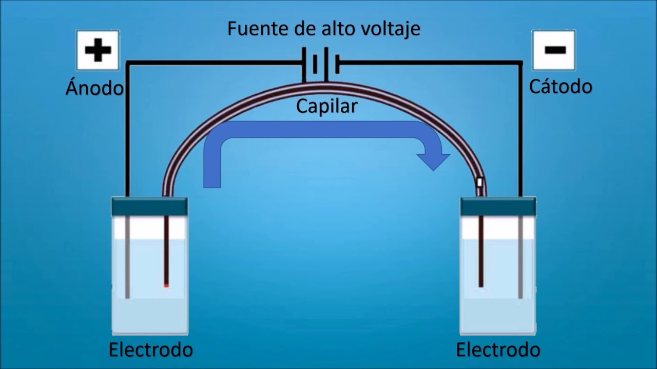 Capillary Electrophoresis: Basic Concepts