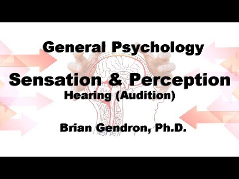 Sensation and Perception - Hearing (Audition)