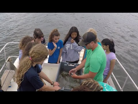 STEM Adventures: Marine Biology (Episode 101)