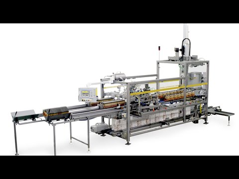 BCI-100 Carrier Erector/Inserter | Wayne Automation