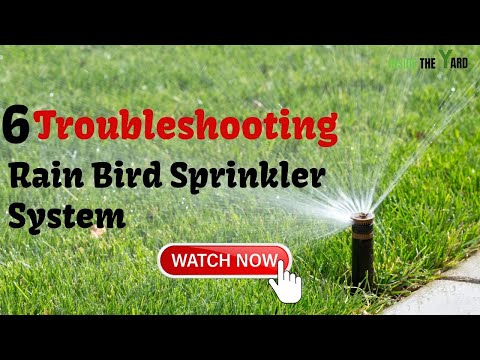 Troubleshooting Rain Bird Sprinkler System- Everything You Need To Know