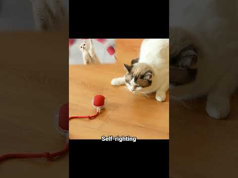 ZONCIHO Interactive Cat Toys for Indoor Cats,2025 New Agility Move Cat Balls,Motion Activated Cat