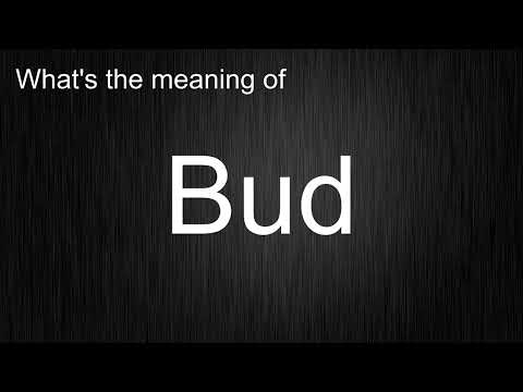 What's the meaning of "Bud", How to pronounce Bud?