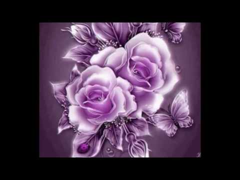Passion for Purple Roses