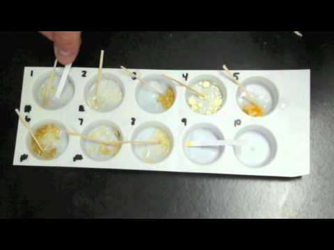 Food Glucose Test