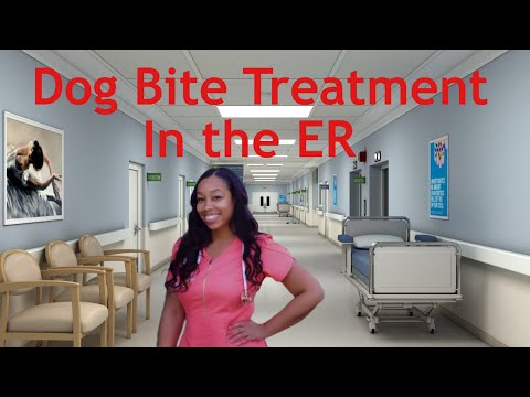 Dog Bite Treatment in The ER | LVN Edition