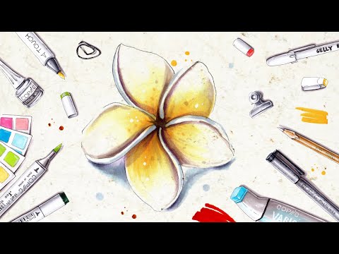 Coloring with Copic markers | How to draw a frangipani flower #shorts #markertutorial #markerdrawing