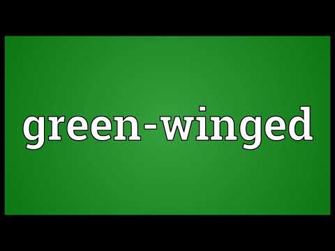 Green winged Meaning | Wordogram