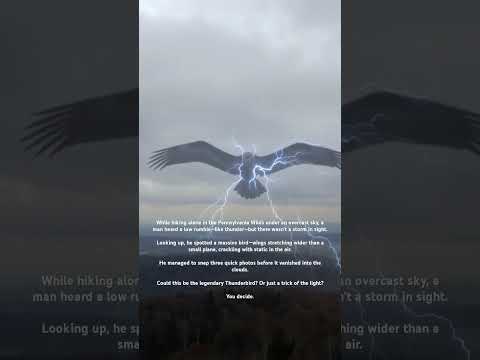 ⚡🦅 Photos of the Thunderbird CAPTURED 😱 #cryptid #cryptids #cryptozoology #thunderbird #horror