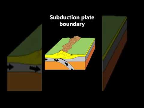 How Many Different Types of Tectonic Plates are There ? #gk #shorts #geography #facts