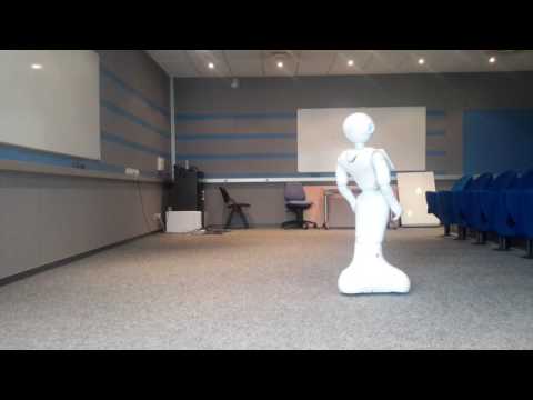 GitHub - bip-team/humoto-controller-pepper: Implementation of MPC controller for pepper robot ...