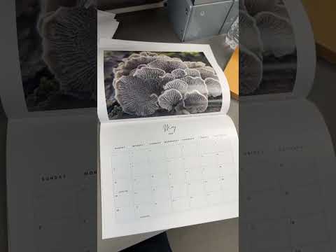 Print calendars affordably