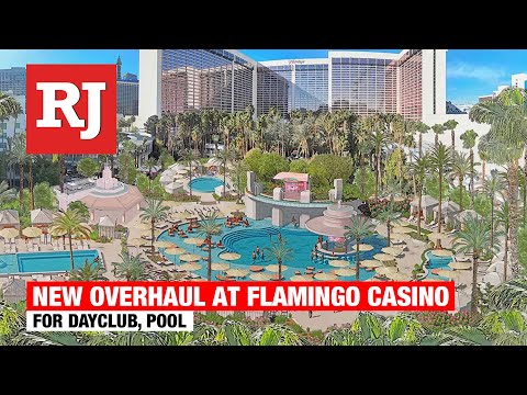 Flamingo Casino opening new dayclub, pool after $20M overhaul