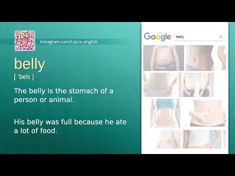 Belly : B1 level english vocabulary lesson, www.LipLix.com