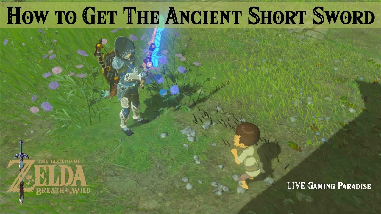 Breath of the Wild | How To Get The Ancient Short Sword | Guide