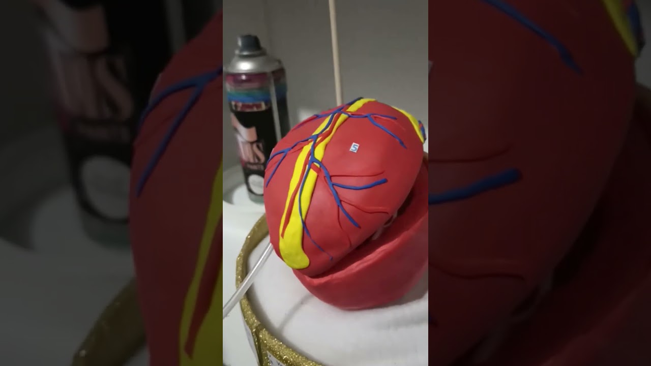 Corazón con latido #maqueta #corazon #funcionamiento  #maquetasquito