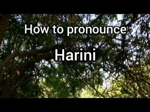 How to Pronounce Harini