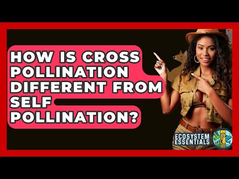 How Is Cross Pollination Different From Self Pollination? - Ecosystem Essentials