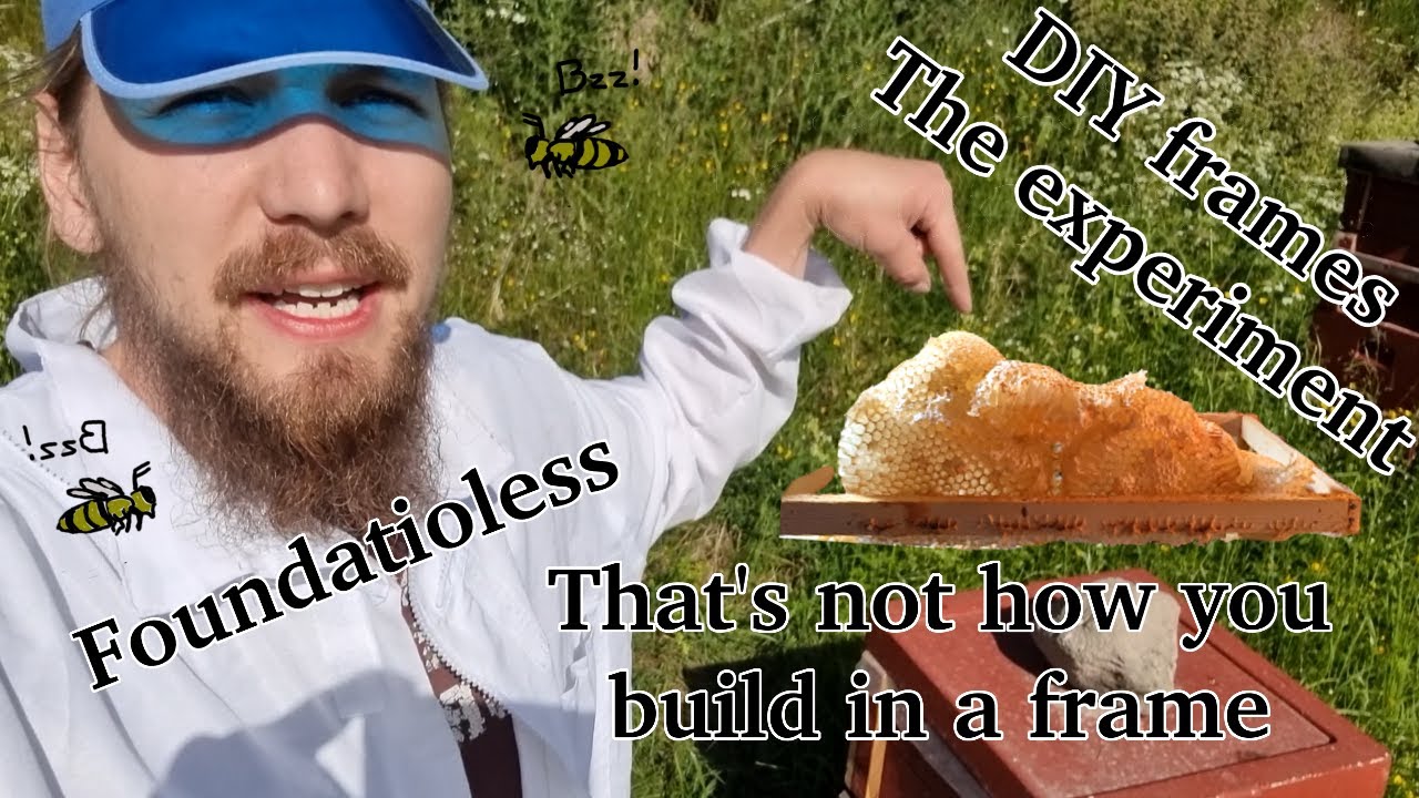 DIY Frames - Foundationless Beekeeping - The experiment
