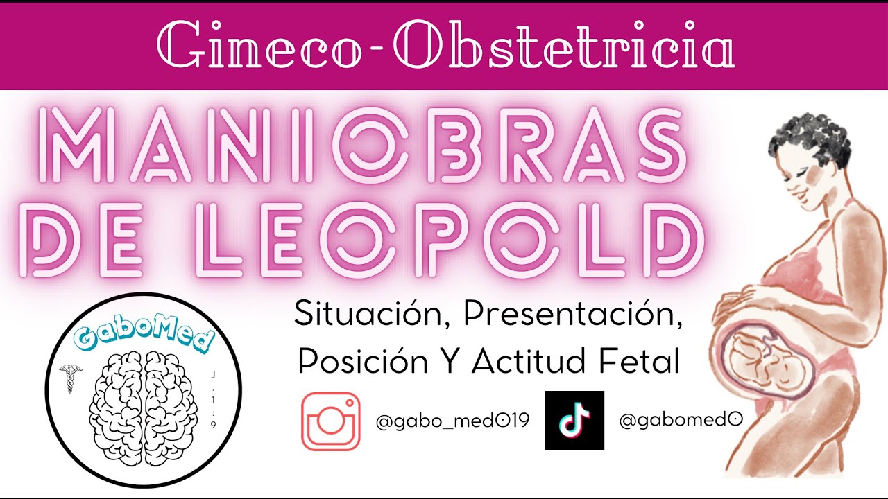 Leopold Maneuvers - Fetal Situation, Presentation, Position, and Attitude