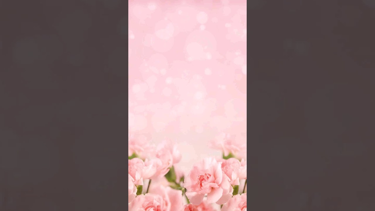 [Samsung Theme-Live Wallpaper]Carnation
