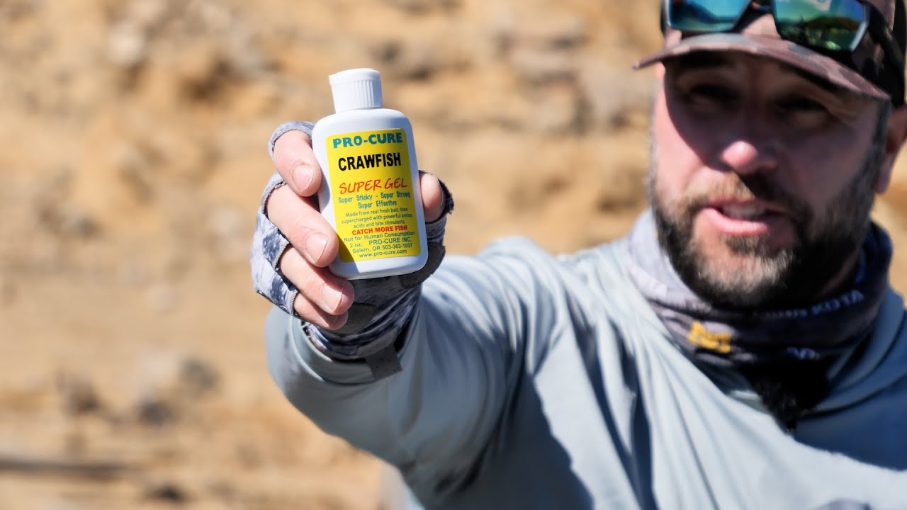 5 Best All Around Scents For Fishing