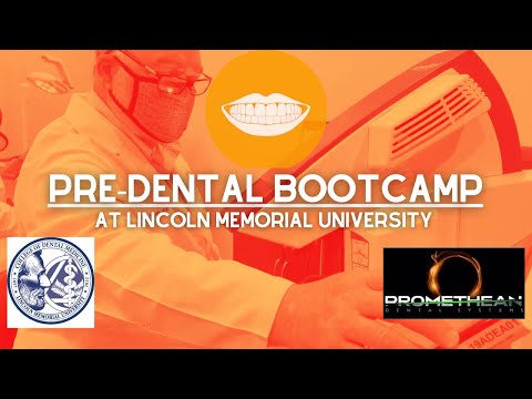 Lincoln Memorial University Pre-Dental Bootcamp Spotlight || FutureDDS