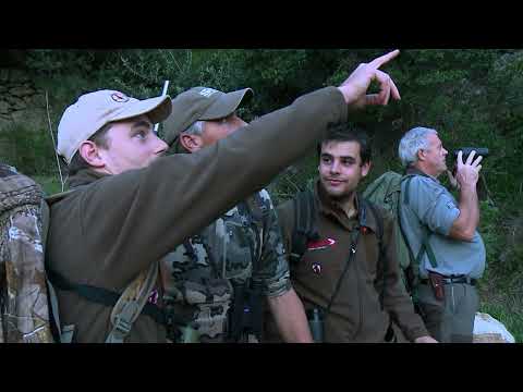 SCI Expedition Safari
