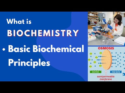 Biochemistry Explained: pH, Buffers, Diffusion, Active Transport & Metabolism Basics