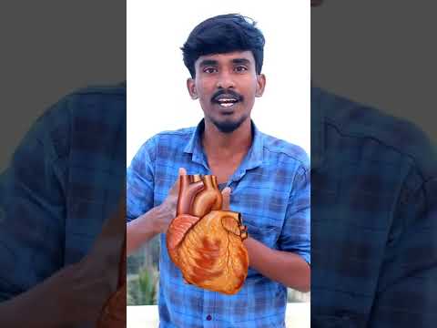 Famous Indian Beer Highest Alcohol percentage #shorts