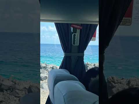 Top 10 Best of Aruba #caribbean #carnivalhorizon #travel #nomadiclife