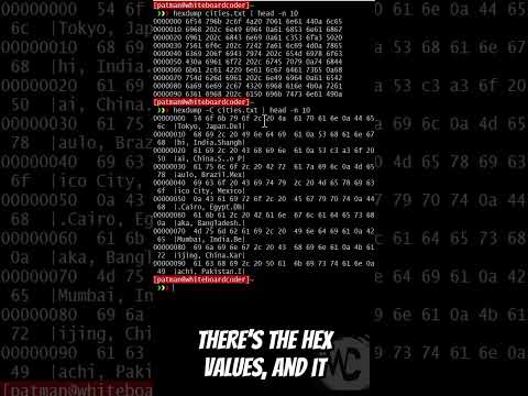 Linux: hexdump #coding #linux #linuxtutorials #linuxcommandlinetutorial #ubuntu #sysadmin